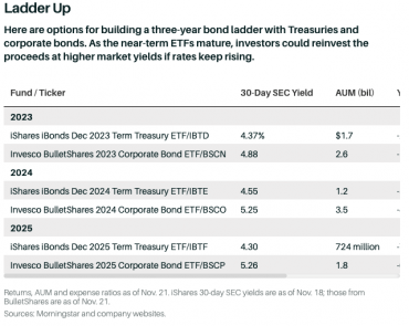 Setting Up A “Bond Ladder” That Yields 4% to 5% – Validea's Guru ...